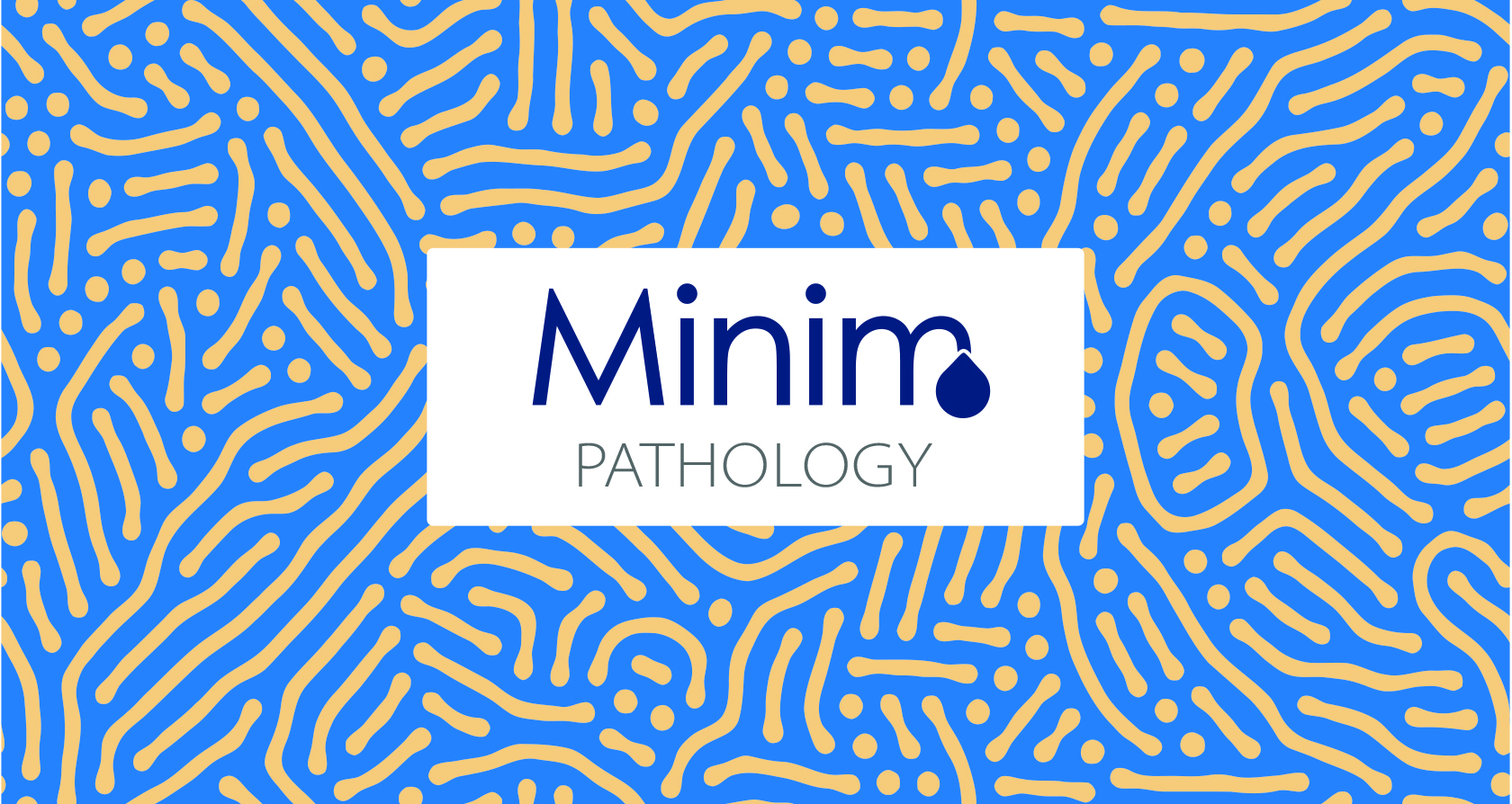 Minim : Identity Development - Branding